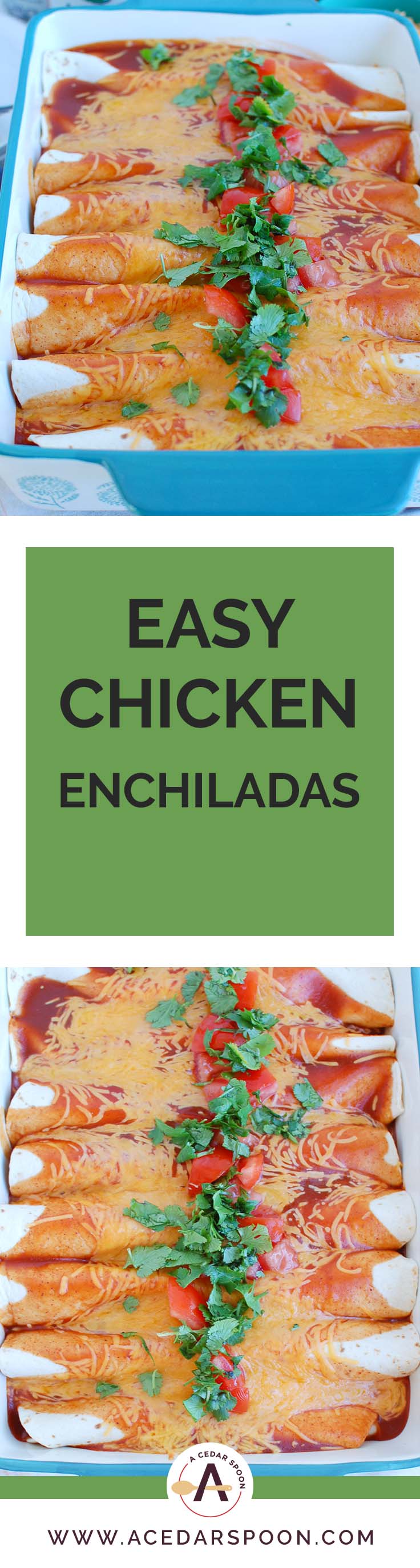 Easy Chicken Enchiladas - A Cedar Spoon
