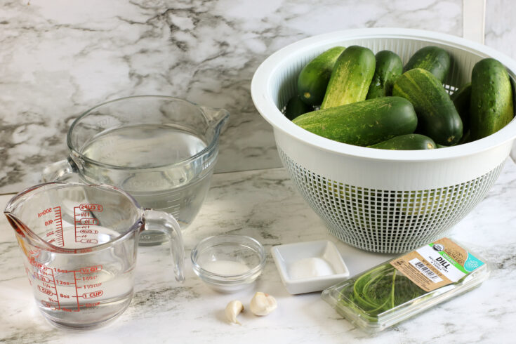 Refrigerator Dill Pickles - A Cedar Spoon